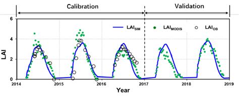 Comparison Of Leaf Area Index Lai From Simulation Laisim