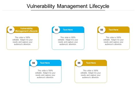 Vulnerability Management Lifecycle Ppt Powerpoint Presentation