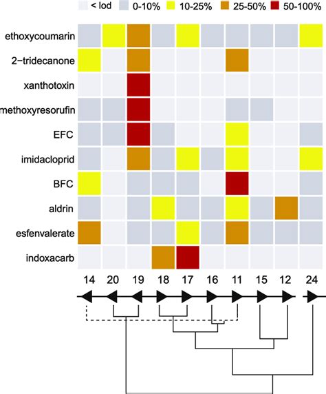 The Cyp6ae Cluster In Helicoverpa Armigera Nine Clustered Genes On