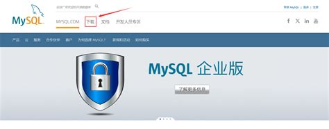 【mysql】mysql 图形化界面 使用说明（mysql Workbench）mysql可视化界面 Csdn博客