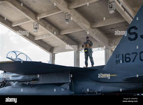 A U S Air Force F 15e Strike Eagle Weapons Systems Officer Assigned To The 336th Fighter