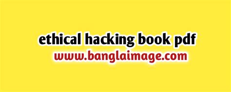 Ethical Hacking Book Pdf