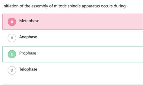 Initiation Of The Assembly Of Mitotic Spindle Apparatus Occurs During A
