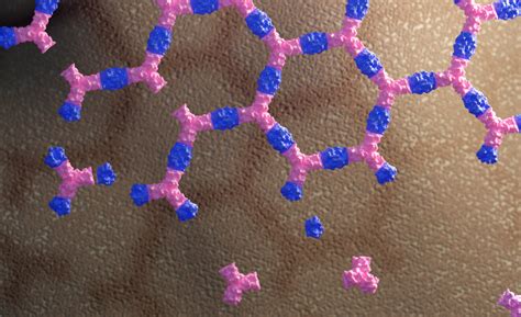 biologically active 2d arrays baker lab