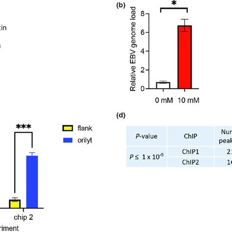 Common And Unique Zta Binding Peaks In Epithelial And B Cells An