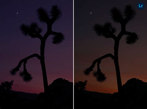 Joshua Tree Remix Photoshop Lightroom