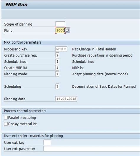Mrp Execution Parameters Sap Community