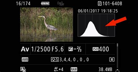 A Beginners Intro To Using Histograms To Check And Nail Exposure