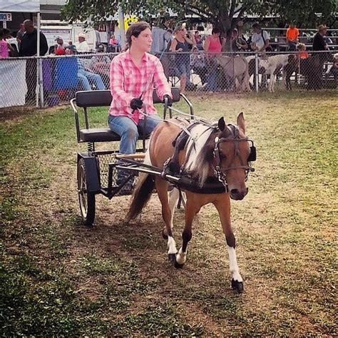 Amber Schaab Youtube