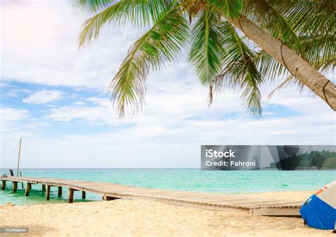 아름 다운 뷰 트로피컬 파라다이스 비치 리조트 화창한 날에는 코코넛 나무 나무 다리 카약 등이 있습니다 여름 방학 컨셉 여름 분위기 푸른 하늘과 리조트의 골든 샌드 비치 0