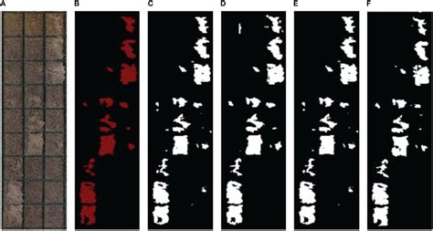 Frontiers Wheat Lodging Extraction Using Improved Unet Network