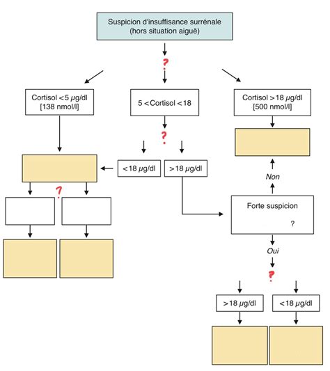 Diagramme de Algorithme d exploration de la fonction hypothalamo hypophyso surrénalienne en