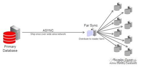 oracle数据库容灾利器之 far sync 墨天轮