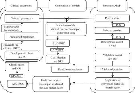 Overview Of Statistical Analyses The Pathways Denoted By Blackdotted Download Scientific
