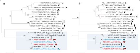 phylogenetic analysis of partial segment s3 a ns3 like and s1 b
