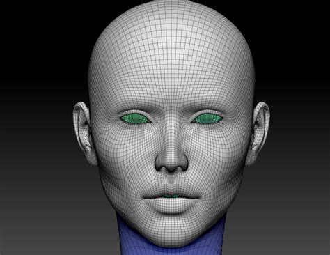 Female Base Mesh With Genital