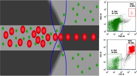 Separation Of Sub Micron Particles From Micron Particles Using Acoustic Fluid Relocation