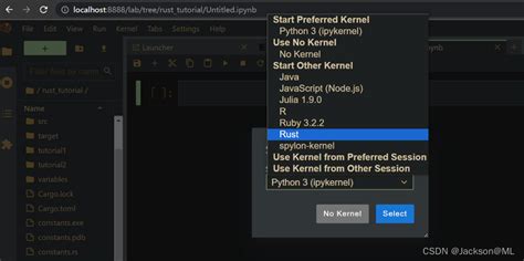 在jupyter Lab平台用rust语言开发应用程序rust Jupyter Csdn博客 在jupyter Lab平台用rust语言开发应用程序rust Jupyter Csdn博客