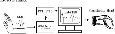 Figure 1 From A Virtual Semg Prosthetic Hand Development System Based On Labview And Pci 1710hg
