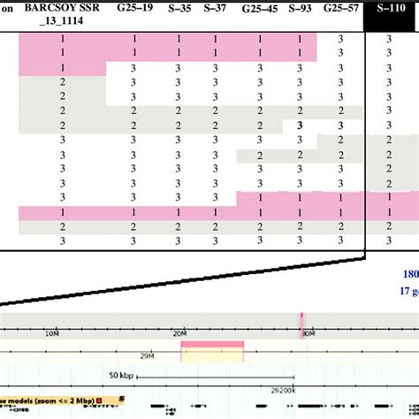 Phenotype And Genotype Results Of 12 Recombinant Plants A Phenotype Download Scientific