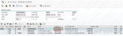Sap系统 备选统驭科目 知乎