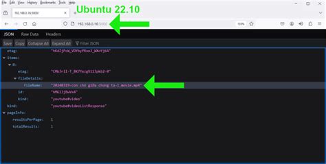 Using The Youtube Data Api V3 With Api Keys And Oauth 20 Be Hai Nguyen