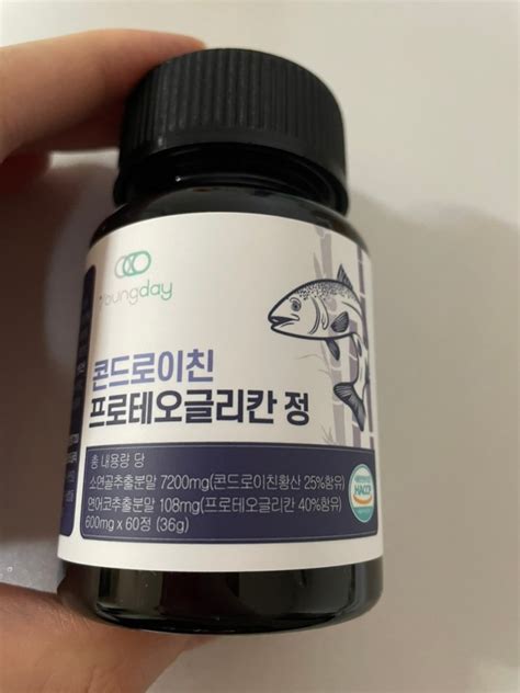 관절영양제 추천 콘드로이친 프로테오글리칸 네이버 블로그