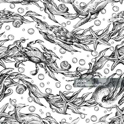 문어 거북이 고래 해파리 불가사리와 물방울이 있는 파도 모양의 해초 검정 잉크로 손으로 그린 그래픽 일러스트입니다 완벽 한 패턴 Eps 벡터입니다 거북이에 대한 스톡 벡터