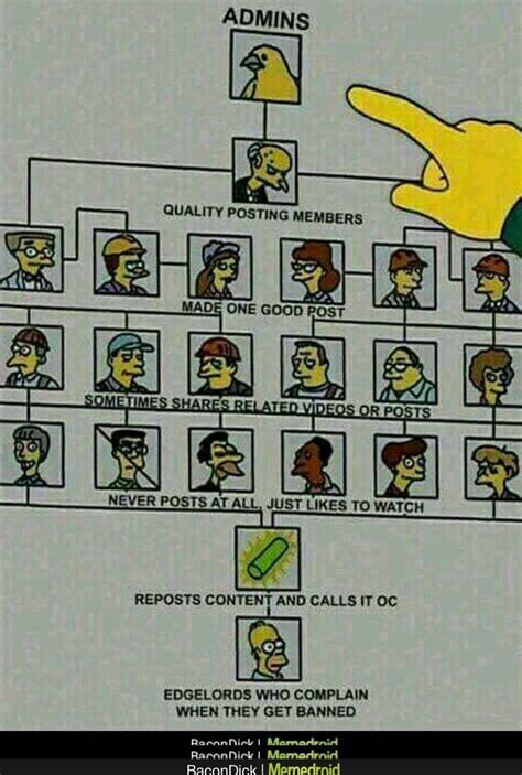 Dongs In A Hierarchy Meme By Dickpimples Memedroid