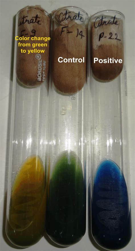 Can Anyone Help Me To Identify Why Did I Get Color Change Yellow From Green In Citrate