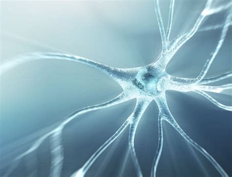 深入解析rna聚合酶ii调控：基因表达的关键调控机制 海龟派