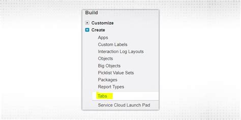 Create Salesforce Application Objects Tabs And Schema Builder