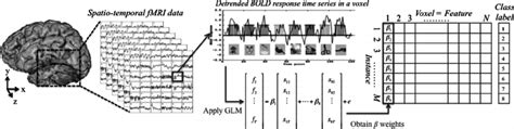 Illustration Of Spatio Temporal Fmri Data In The Vt Cortex With An