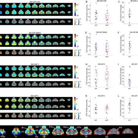 Comparison Of Spatial And Temporal Properties Of 3 Caps At The 6 Months Download Scientific