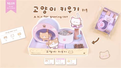 [따니네 만들기] 고양이 키우기 키트🐈 A Kit For Growing Cat 네이버 블로그