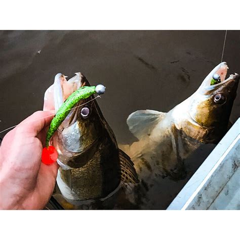 Spro Iris The Shad Tackleshopnl