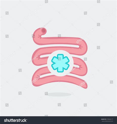 Small Intestine Vector Illustration Stock Vector Royalty Free Shutterstock