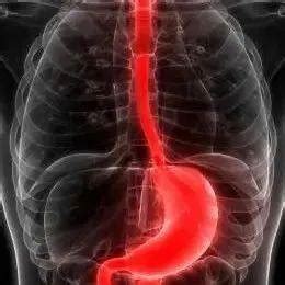 特瑞普利单抗联合新辅助放化疗改善食管胃结合部腺癌患者的病理缓解 研究 手术 治疗