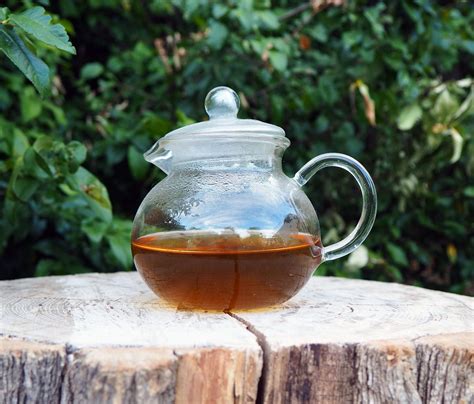 9 Surprising Health Benefits Of Goosegrass You Need To Know