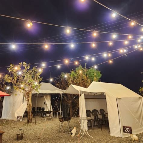 광주 감나무캠핑 당일치기 감성 글램핑 준비물 광주가볼만한곳 감나무집 불멍 데이트 애견동반 네이버 블로그