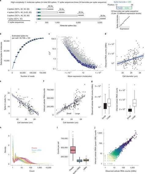 Single Cell Rna Counting Using The Complex Set Of Molecular