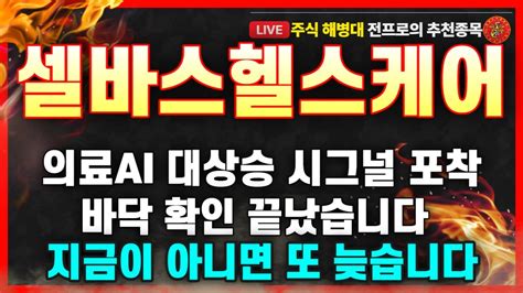 셀바스헬스케어 주가전망 의료ai 추세적반전 시그널 대거포착 지금이 새로운 2차폭등전 매집구간입니다 Youtube
