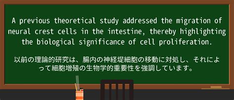 【英単語】neural Crest Cellsを徹底解説！意味、使い方、例文、読み方