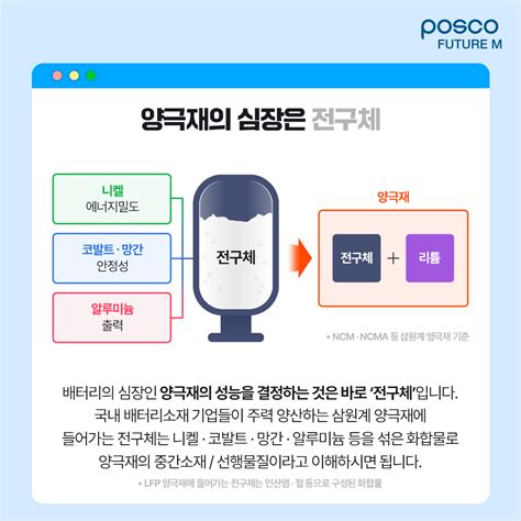 K 배터리 산업 발전을 위해 전구체 내재화가 필수인 이유 뉴스룸 포스코퓨처엠 K 배터리 산업 발전을 위해 전구체 내재화가 필수인 이유 뉴스룸 포스코퓨처엠