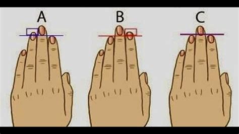 【충격】 【진단】당신은 어느 타입 손가락의 길이로 아는 성격진단이 화제에 Youtube