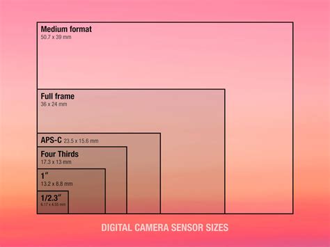 Camera Sensor Sizes Explained What You Need To Know
