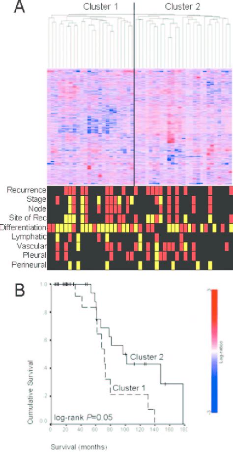 unsupervised analysis of the training set of 51 scc samples identifies