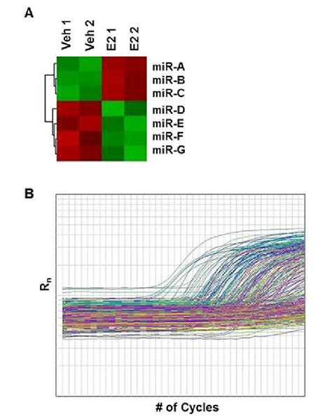 an illustration of mirna profiling results a a heat map