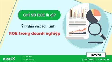 Mách Bạn Chỉ Số Roe Là Gì Ý Nghĩa Và Cách Tính Roe Chính Xác Nhất