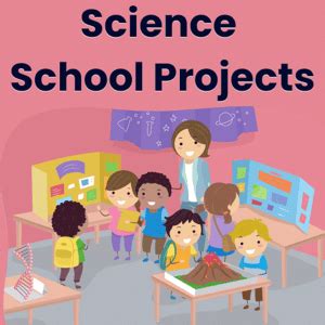 Best Class Study Material Courses For Class Syllabus
